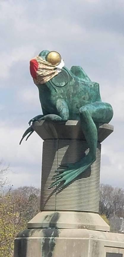 Why these frogs symbolize our changing culture. - Discoveries in ...