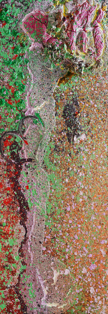 Treasure Tree - Discoveries in American Art