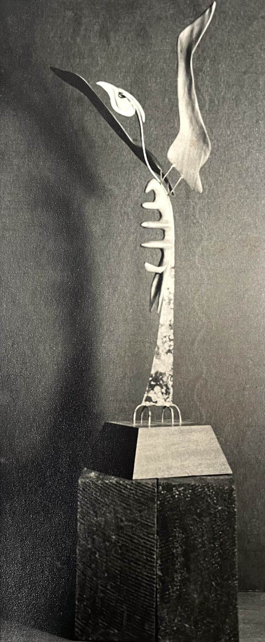 A Personal World of Form - Discoveries in American Art